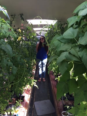 URBAN ROOTS - Updated September 2025 - 28 Photos & 14 Reviews - 1700 E ...