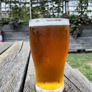 GREYLINE BREWING - 123 Photos & 120 Reviews - 1727 Alpine Ave NW, Grand ...