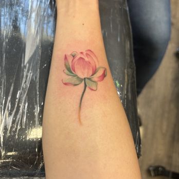 TAYLOR INK - Updated April 2024 - 404 Photos & 91 Reviews - 2955 Senter ...