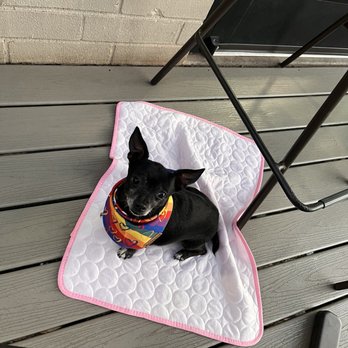 SKIPTOWN - Updated December 2025 - 201 Photos & 115 Reviews - 222 ...