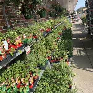 MENARDS - Updated October 2025 - 12 Photos & 41 Reviews - 708 N 120th ...