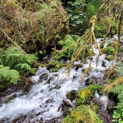 THE 10 BEST Things to Do in Biggs Junction, OR - 2025 - Yelp