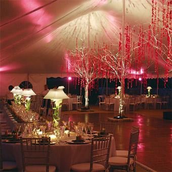 DURANTS PARTY RENTALS - Updated July 2025 - 19 Photos & 19 Reviews ...