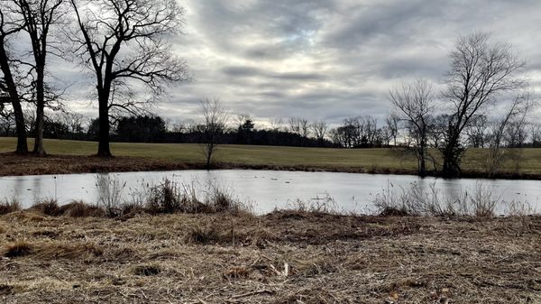 APPLETON FARMS - Updated January 2025 - 66 Photos & 28 Reviews - 219 ...