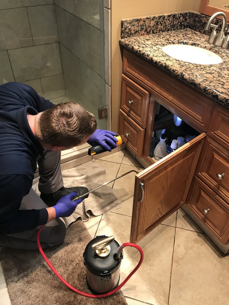 ON DEMAND PEST CONTROL - Updated December 2025 - 60 Photos & 43 Reviews ...