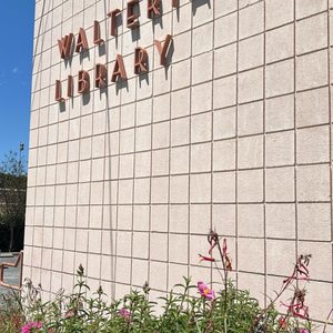 LA COUNTY LIBRARY - CARSON LIBRARY - Updated October 2025 - 38 Photos ...