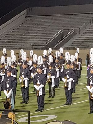 PENNINGTON FIELD - Updated July 2025 - 13 Photos - 1501 Central Dr ...