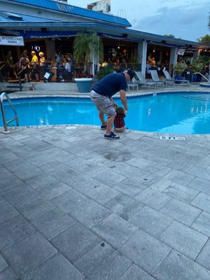 OZONA BLUE GRILLING - 516 Photos & 620 Reviews - 125 Orange St, Palm ...