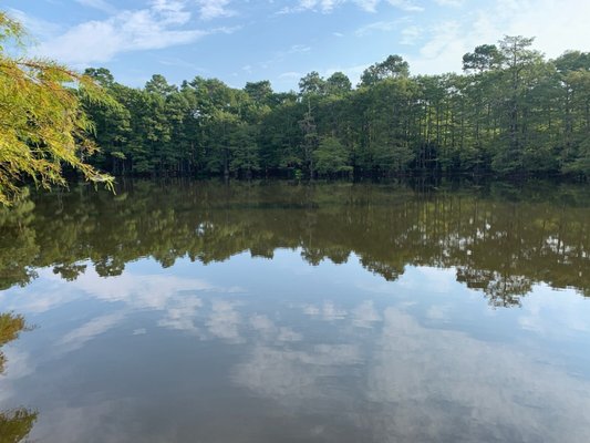 LAKE HOUSTON WILDERNESS PARK - 179 Photos & 51 Reviews - 25840 Fm 1485 ...