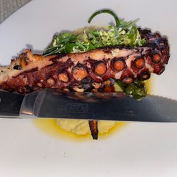 ELIA MEDITERRANEAN RESTAURANT - 1405 Photos & 597 Reviews - 240 ...