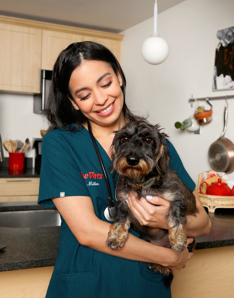 THE VETS - MOBILE VET CARE IN SACRAMENTO - Updated January 2026 - 15 ...