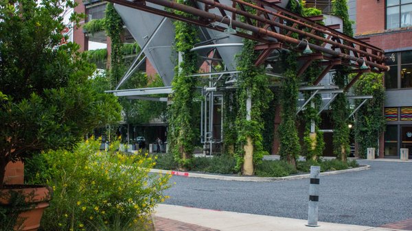 CLEAN SCAPES LANDSCAPING - Updated December 2025 - 4800 W Howard Ln ...