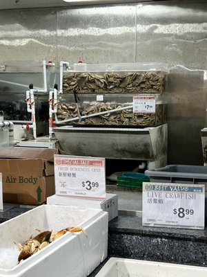 99 RANCH MARKET - Updated November 2025 - 486 Photos & 234 Reviews ...