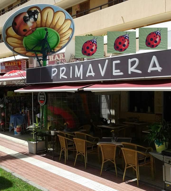 PRIMAVERA - Updated March 2025 - Calle Juan Reveron Sierra, 4, Arona ...