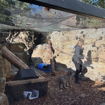 CURIODYSSEY - Updated November 2024 - 839 Photos & 340 Reviews - 1651 ...