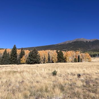 ASPEN NATURE LOOP - Updated November 2025 - 55 Photos & 17 Reviews ...