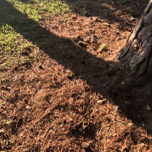 MCKOY PARK - Updated March 2025 - 58 Photos & 11 Reviews - 1000 Adams ...