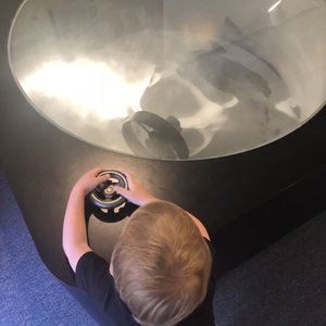 EXPLORIT SCIENCE CENTER - 42 Photos & 20 Reviews - 3141 5th St, Davis ...