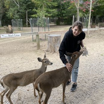 WISCONSIN DEER PARK - Updated June 2024 - 228 Photos & 120 Reviews ...