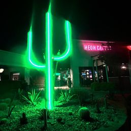 NEON CACTUS - Updated March 2025 - 226 Photos & 193 Reviews - 241 E ...