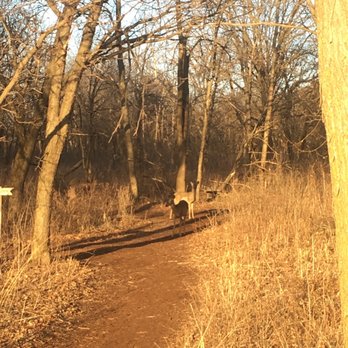 SPRINGBROOK NATURE CENTER - Updated October 2025 - 143 Photos & 28 ...