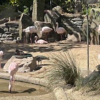 OREGON ZOO - Updated August 2024 - 3147 Photos & 899 Reviews - 4001 SW ...