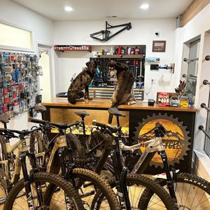 KONA BICYCLE COMPANY USA - Updated October 2025 - 2455 Salashan Lp, Ferndale, Washington - Bikes ...