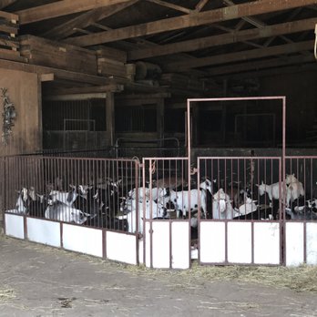 FOREST VIEW FARMS - Updated July 2024 - 57 Photos & 46 Reviews - 16717 ...