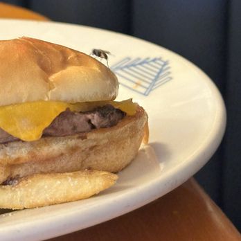 PIER 290 - Updated August 2024 - 388 Photos & 590 Reviews - 1 Liechty ...