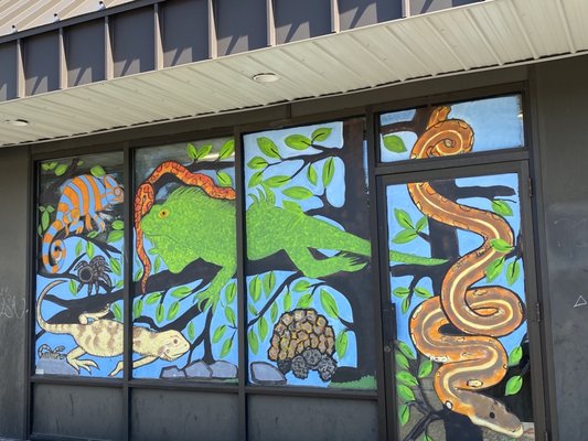 LITTLE AMAZON FISH & PETS - Updated April 2024 - 71 Photos & 83 Reviews ...