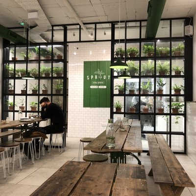 SPROUT & CO - Updated July 2025 - 56 Photos & 29 Reviews - 63 Dawson ...