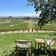SCRIBE WINERY - 797 Photos & 350 Reviews - 2100 Denmark St, Sonoma, CA ...