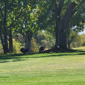 MATHER GOLF COURSE - Updated December 2025 - 62 Photos & 58 Reviews ...