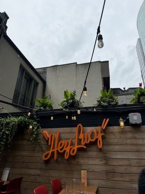 HEY LUCY - Updated January 2026 - 179 Photos & 244 Reviews - 295 King ...