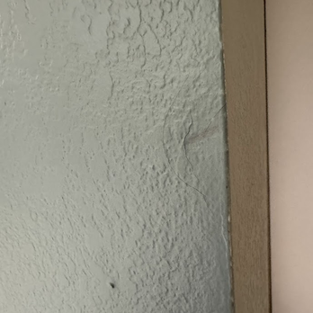 LUX WINDOWS AND DOORS - Updated January 2026 - 21 Reviews - 6875 9 St ...