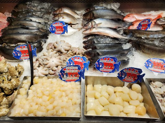 ANGELO CAPUTO’S FRESH MARKETS - Updated November 2024 - 190 Photos ...