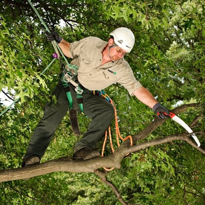 THE DAVEY TREE EXPERT COMPANY - Updated October 2025 - 29 Photos & 78 ...