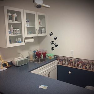 PAW PAW VETERINARY CLINIC - Updated October 2025 - 12 Reviews - 31690 E Red Arrow Hwy, Paw Paw ...