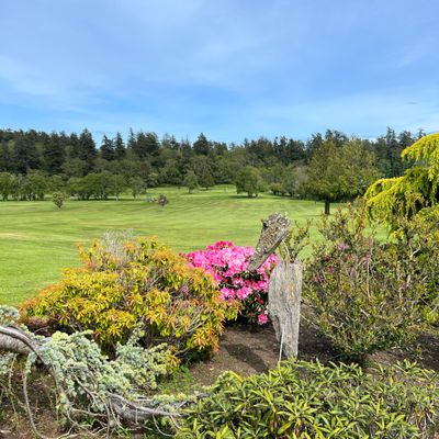 MOUNT DOUGLAS GOLF COURSE - Updated May 2026 - 18 Photos - 4225 ...