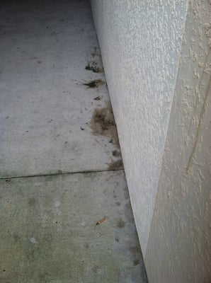 ONE 51 PLACE - 15100 NW 150th Ct, Alachua, FL - Yelp