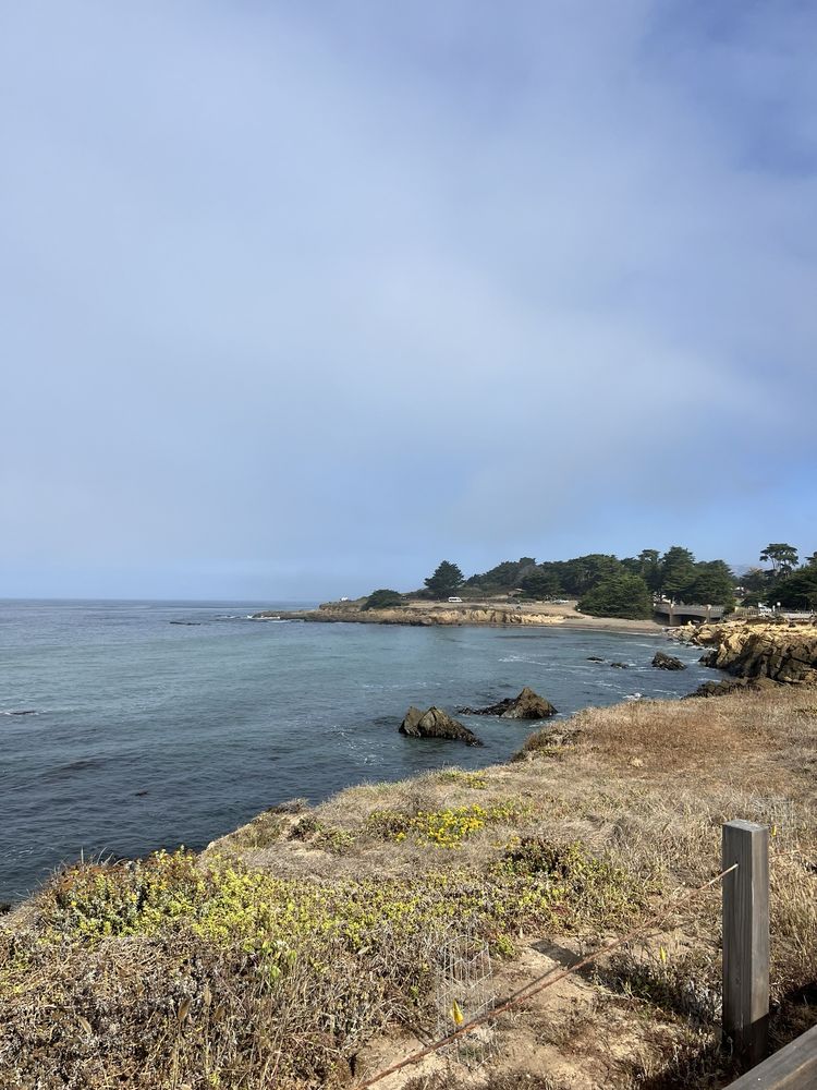 SEA OTTER INN - Updated January 2026 - 256 Photos & 204 Reviews - 6656 ...