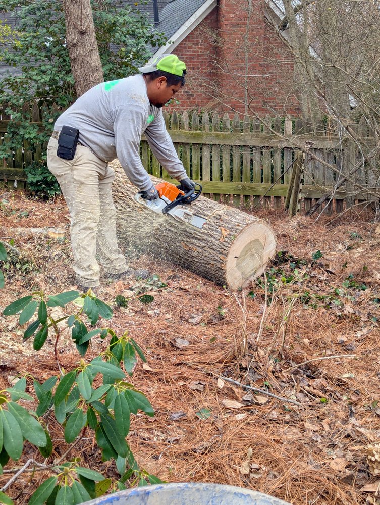 GIL’S TREE SERVICE & LAWN CARE - Updated July 2025 - Request a Quote - 35 Photos - 4920 Brian ...