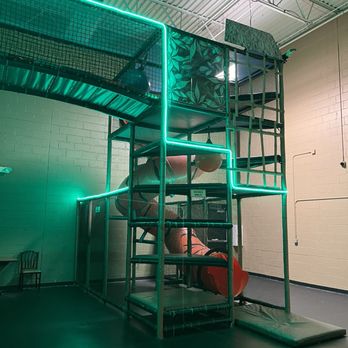 JUNGLE JAVA - Updated December 2025 - 70 Photos & 99 Reviews - 44595 ...