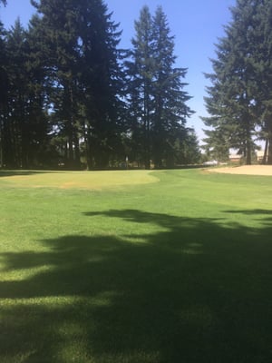 LAKE SPANAWAY GOLF COURSE - Updated October 2025 - 14 Photos & 20 ...