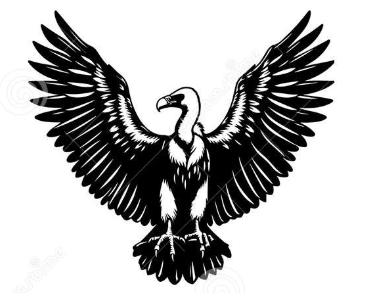 CONDOR MOTORCYCLE & POWER SPORTS - Updated December 2025 - Request a ...