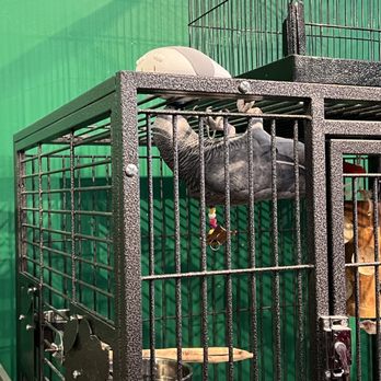 THE ANIMAL COMPANY - Updated February 2025 - 57 Photos & 148 Reviews ...