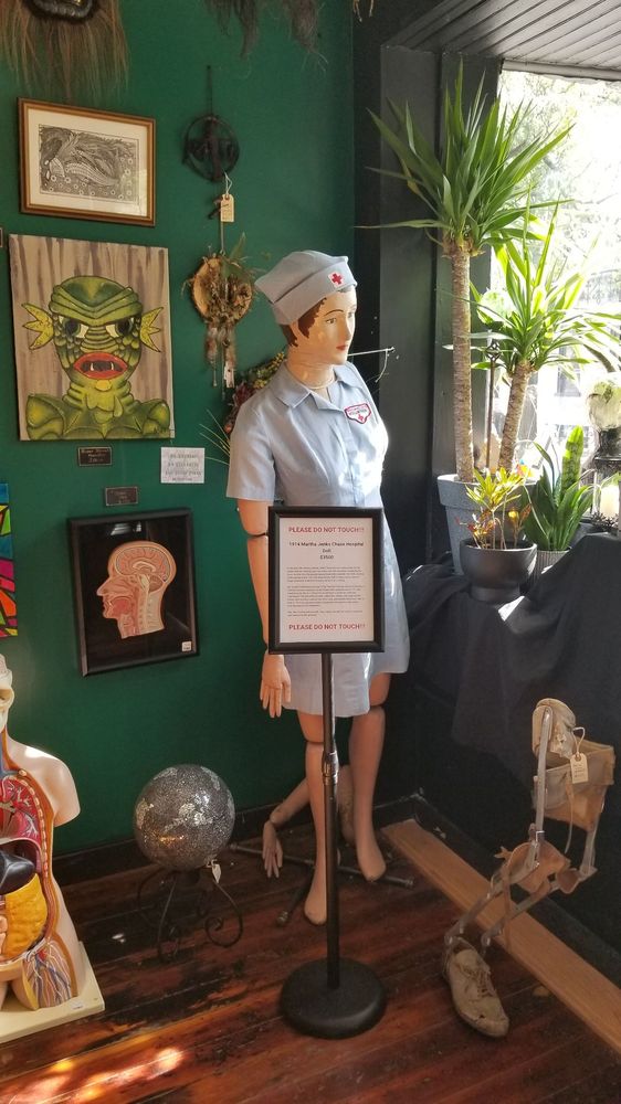 NERDY BY NATURE - Updated April 2025 - 13 Photos - 99 Ferry St, Troy ...