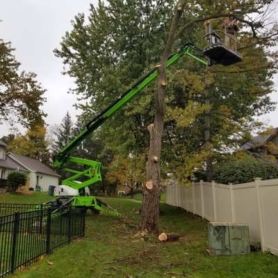 P&L TREE SERVICE - Updated November 2025 - 29 Photos & 14 Reviews ...