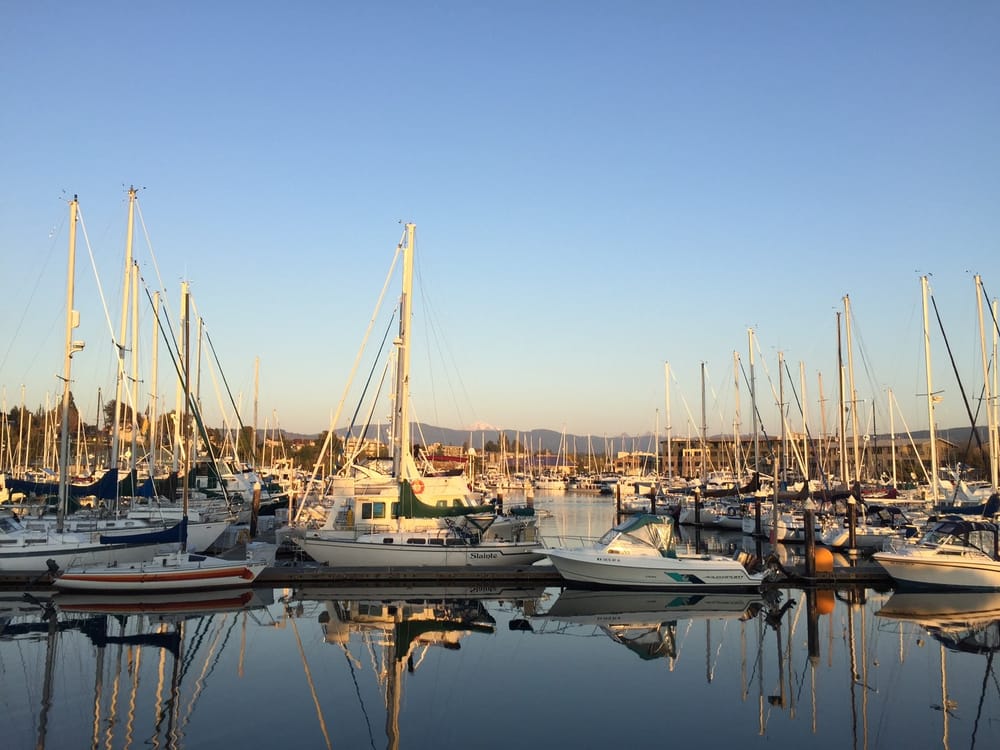 SUSAN TEMPLETON - MOVEMENT MORTGAGE - Updated January 2025 - 12 ...