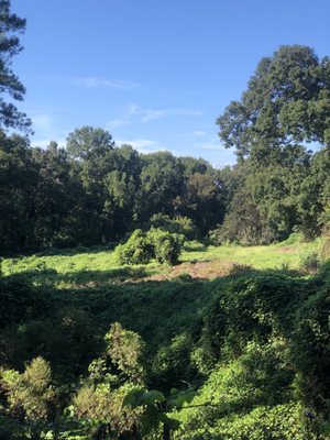 FOREST PARK WALKING TRAIL ON MAIN STREET - Updated December 2025 - Main ...